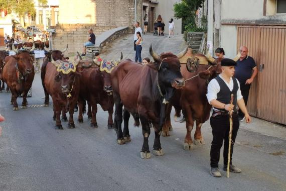 Scano di Montiferro. Grande successo per la 7^ edizione di “Juos”: i ...