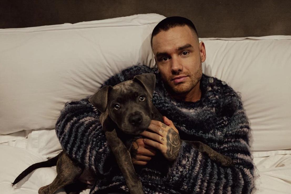 Liam Payne muore tragicamente a Buenos Aires: caduta fatale per l'ex ...